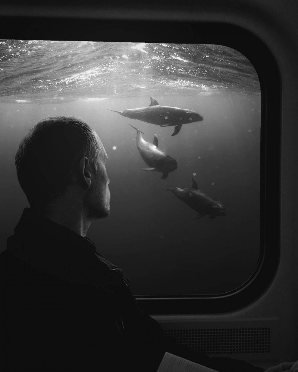 Artist Transforms Photographs Into Completely Superb Different Images ...
