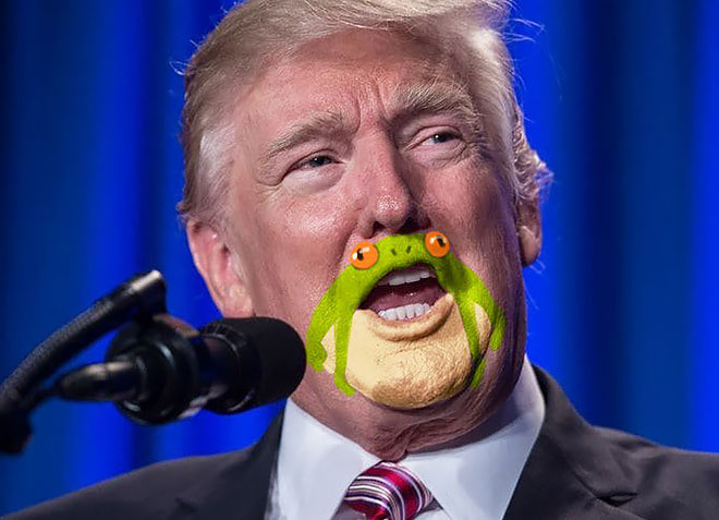 You’ll Never Be Able To Unsee This Frog On Trump’s Chin » Design You ...