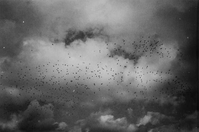 “Lost In The Dark And Then Gone”: Atmospheric Photography Inspired By ...