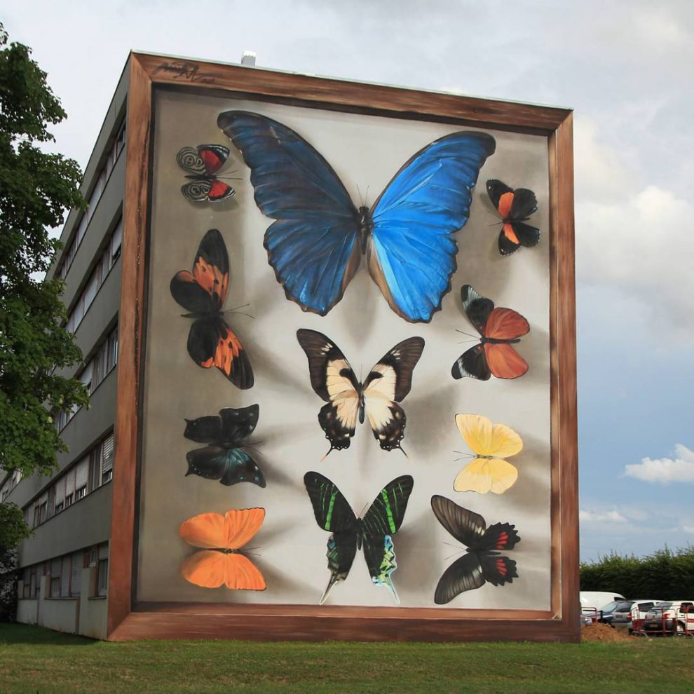 Street Artist Mantra Creates Beautiful Mural Series Of Butterfly ...