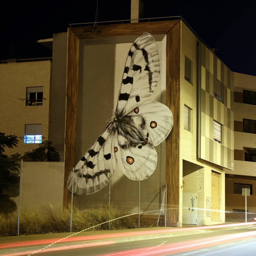 Street Artist Mantra Creates Beautiful Mural Series Of Butterfly ...