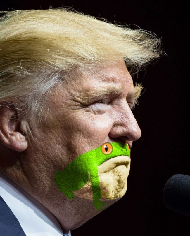 You’ll Never Be Able To Unsee This Frog On Trump’s Chin » Design You ...
