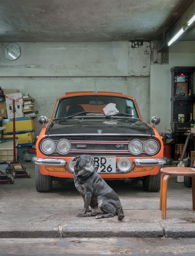 Marcel Heijnen’s Heartwarming Photographs Of Hong Kong’s “Garage Dogs ...