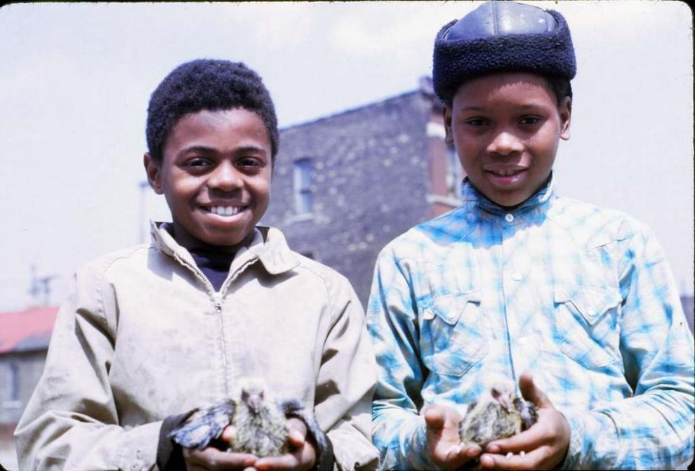 Fascinating Photos of Chicago’s Tri-Taylor Neighborhood From 1971 ...
