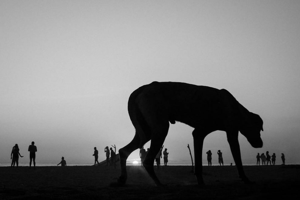 Photographer Uses Forced Perspective To Transform Ordinary Beaches Into ...