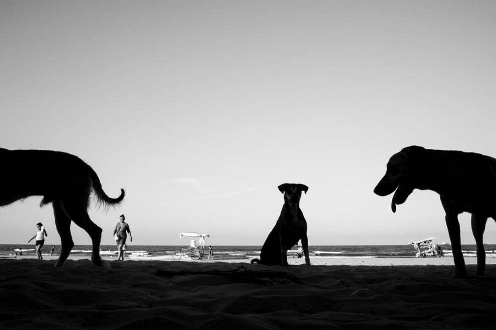 Photographer Uses Forced Perspective To Transform Ordinary Beaches Into ...