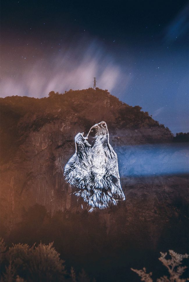 This Artist Uses A Powerful Projector To Create His ‘Crying Animals ...