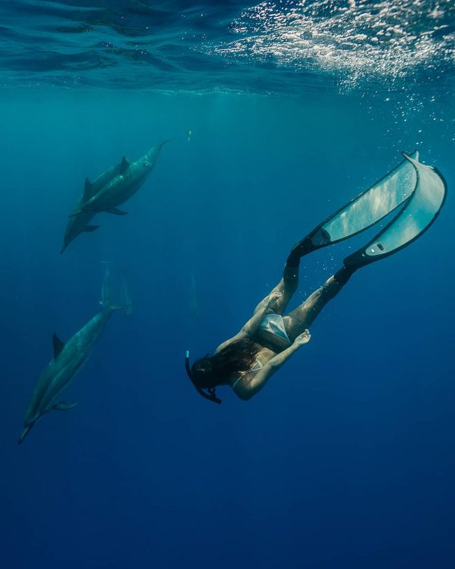 “The Big Blue”: Astonishing Underwater And Freediving Photography By ...