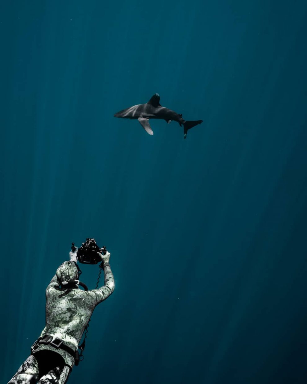 “The Big Blue”: Astonishing Underwater And Freediving Photography By ...
