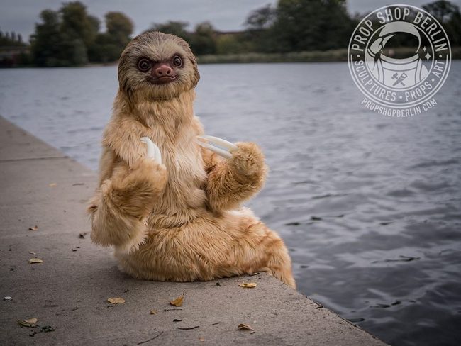 Artist Karoline Hinz Makes A Realistic Two Toed Sloth Costume » Design ...