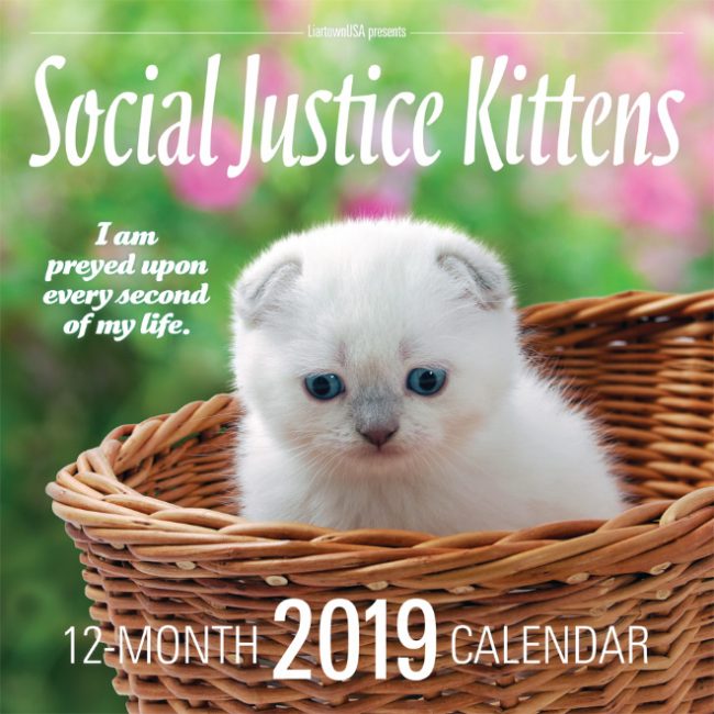 2019 Social Justice Kittens Calendar Is Here! » Design You Trust ...