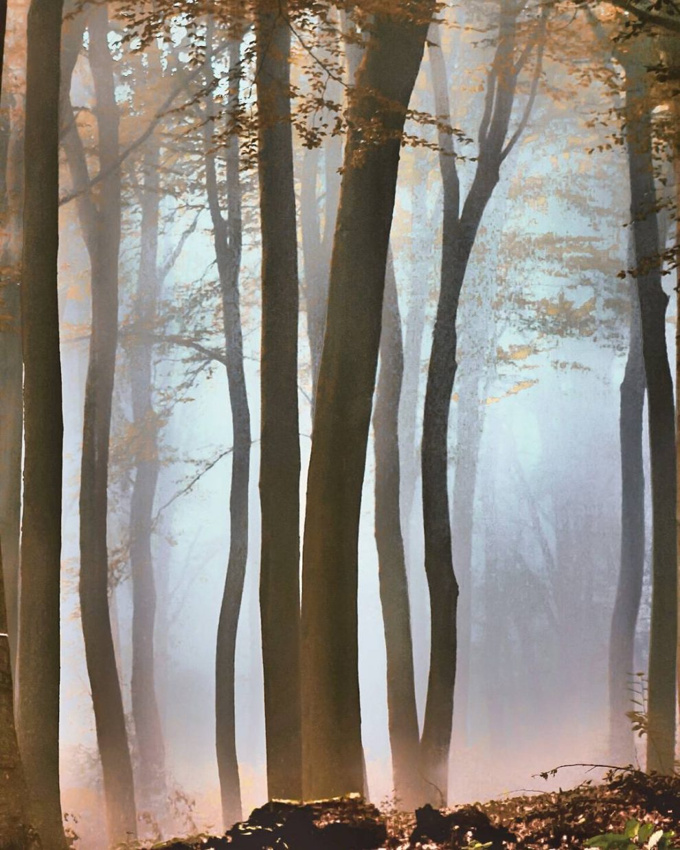 “Silent Waters”: Beautiful And Extraordinary Outdoor Photography By ...
