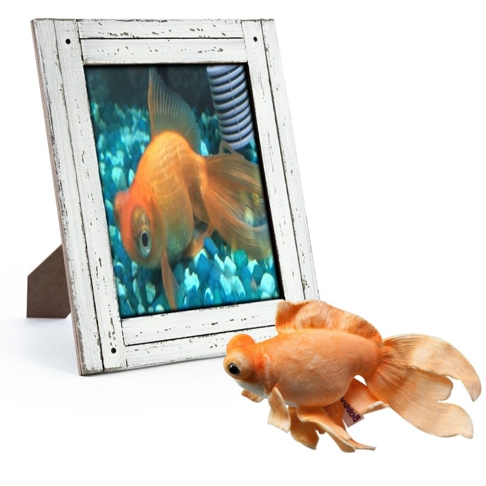 The ‘Cuddle Clone’ Plush Toys Made To Look Like Aging Pets So Their ...