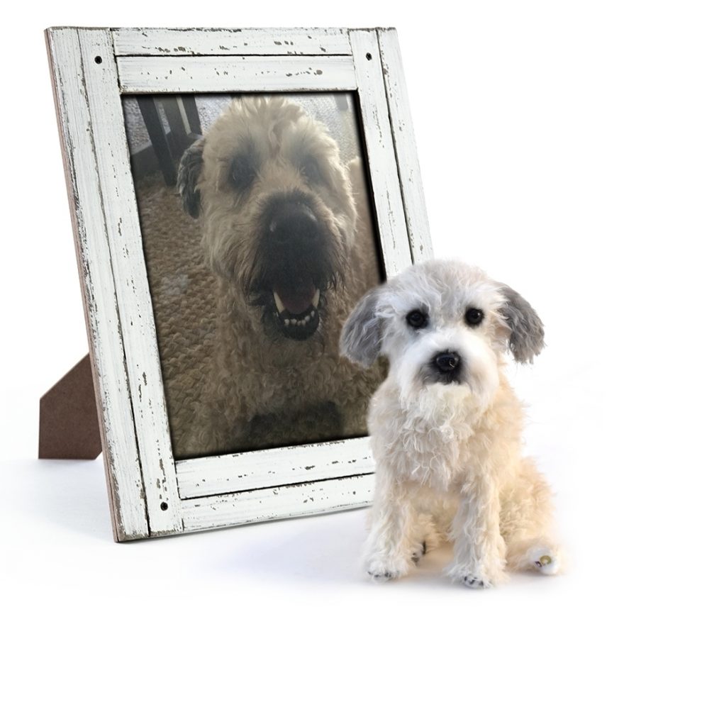 The ‘Cuddle Clone’ Plush Toys Made To Look Like Aging Pets So Their ...