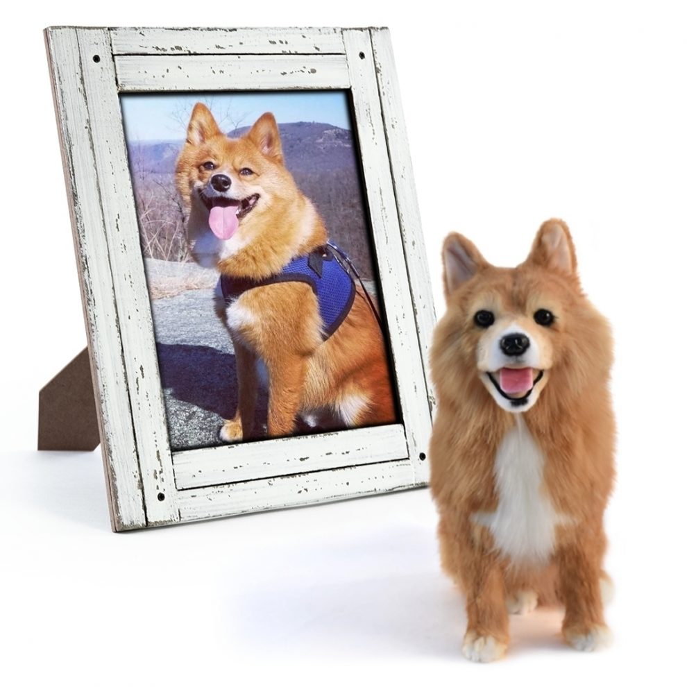 The ‘Cuddle Clone’ Plush Toys Made To Look Like Aging Pets So Their ...