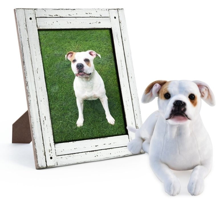 The ‘Cuddle Clone’ Plush Toys Made To Look Like Aging Pets So Their ...