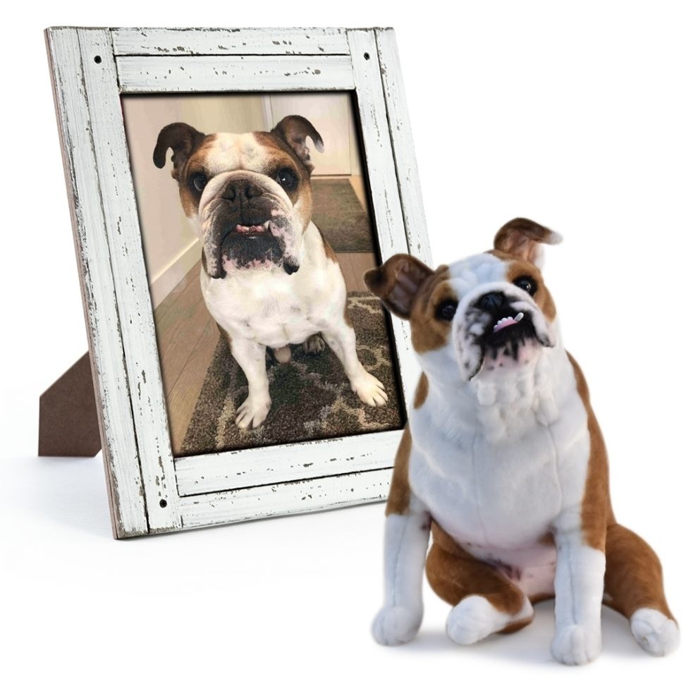 The ‘Cuddle Clone’ Plush Toys Made To Look Like Aging Pets So Their ...