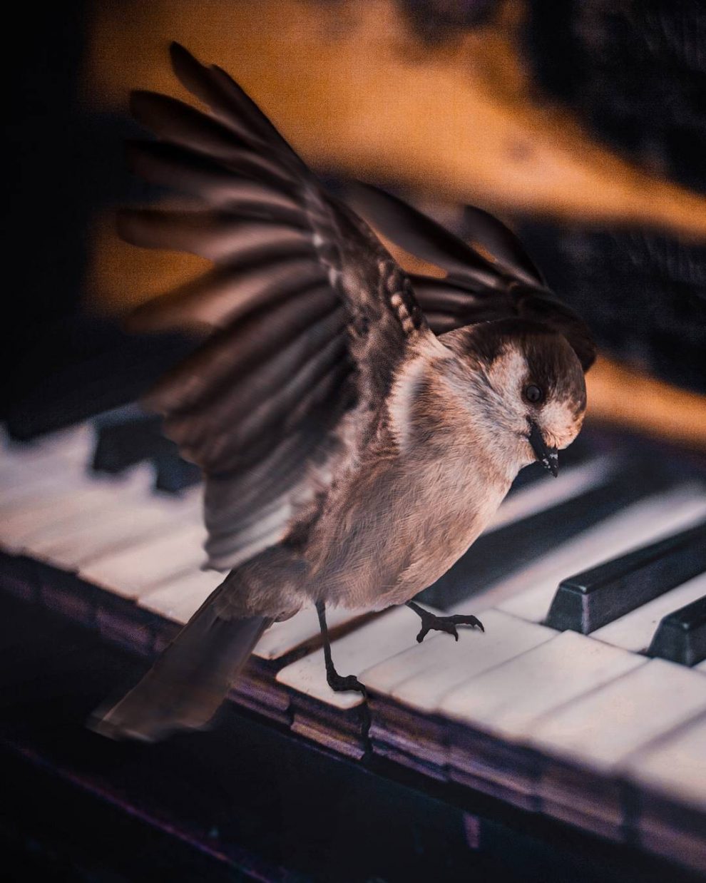 Whimsical And Dreamlike Photo Manipulations By Boby Atmajaya » Design ...