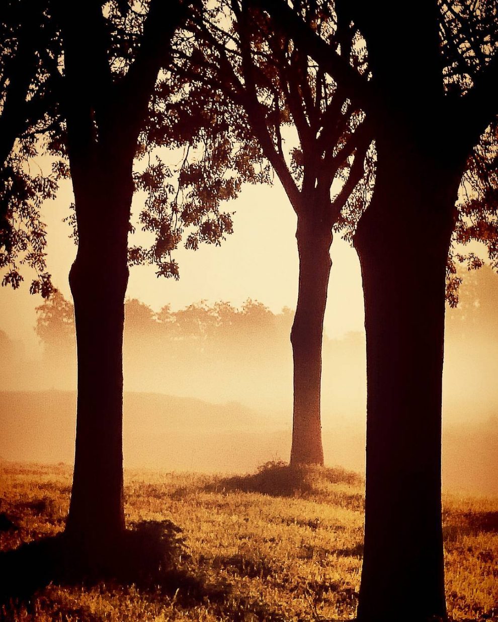 “Silent Waters”: Beautiful And Extraordinary Outdoor Photography By ...