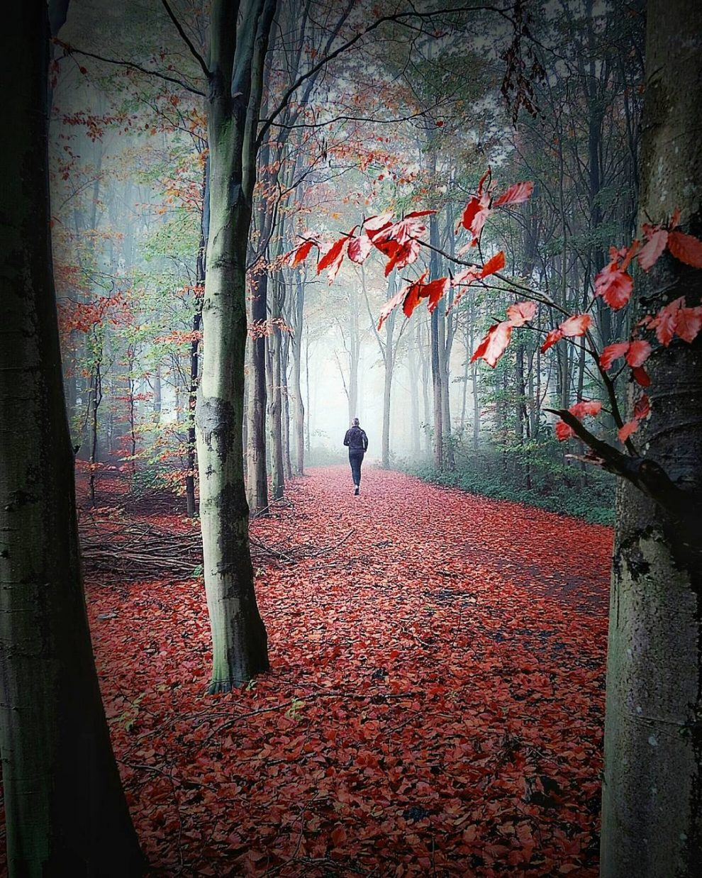 “Silent Waters”: Beautiful And Extraordinary Outdoor Photography By ...