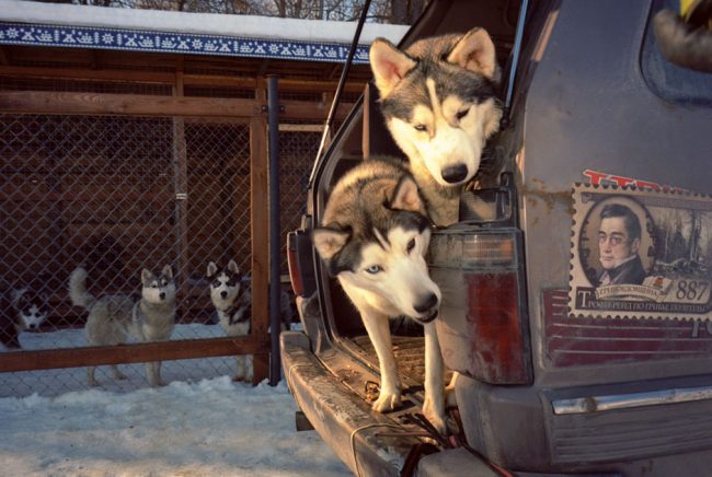 “Russian Elite”: Photographer Documents Life Of Rich And Poor In The ...