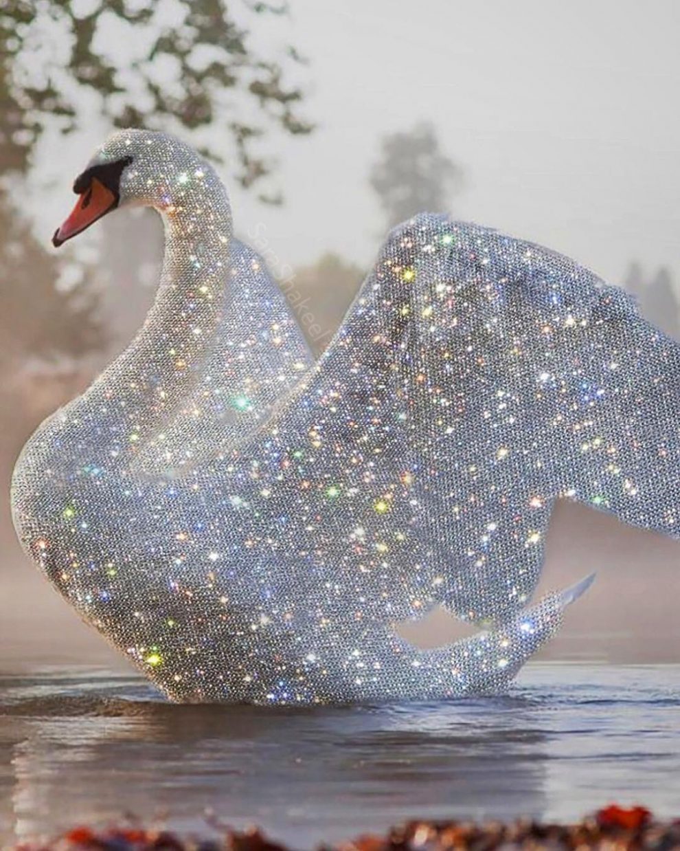 Meet Sara Shakeel, The Original Crystal Artist » Design You Trust ...