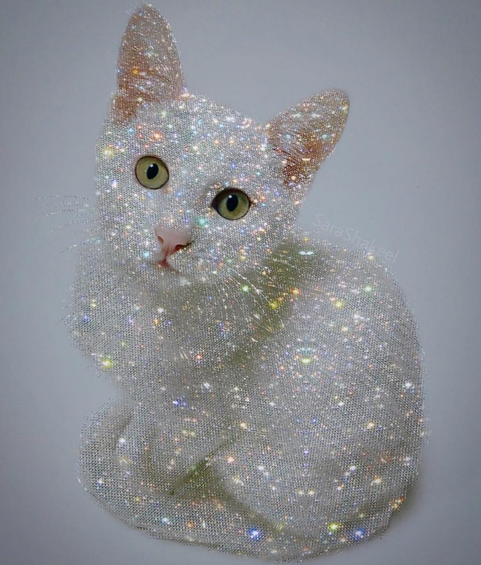 Meet Sara Shakeel, The Original Crystal Artist » Design You Trust ...