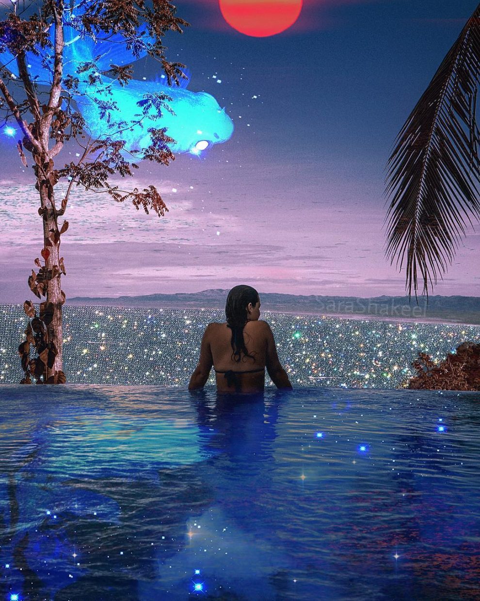 Meet Sara Shakeel, The Original Crystal Artist » Design You Trust ...