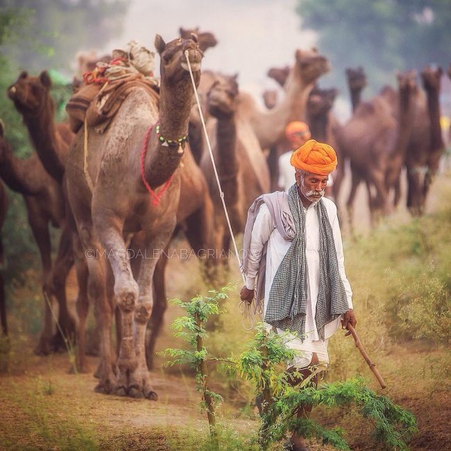 A Photographer Travels Across India To Show How Beautiful And Diverse ...