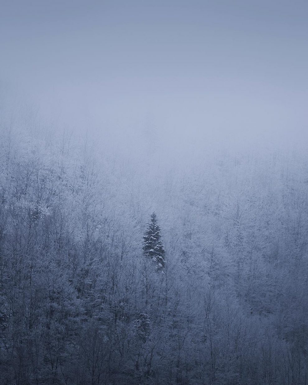 Photographer Bleron Çaka Captures Minimalist And Natural Landscapes ...