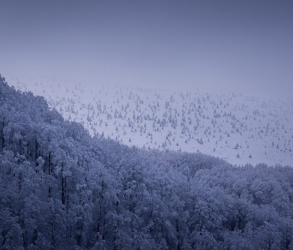 Photographer Bleron Çaka Captures Minimalist And Natural Landscapes ...