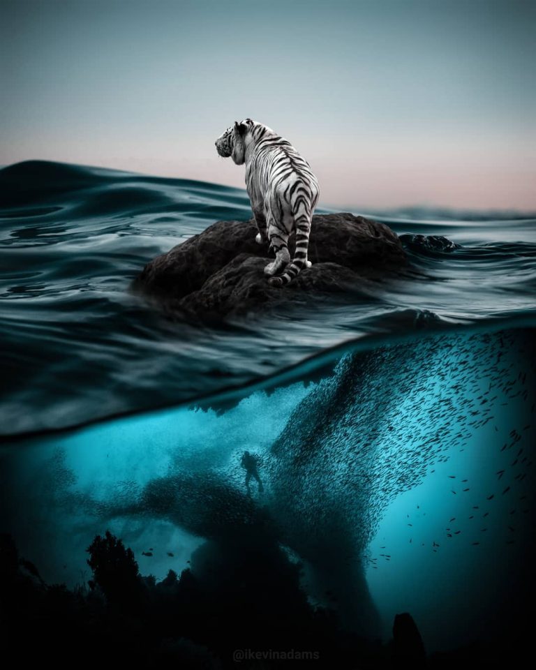 “Forest Of Insomnia”: Dreamlike And Surreal Photo Manipulations By ...