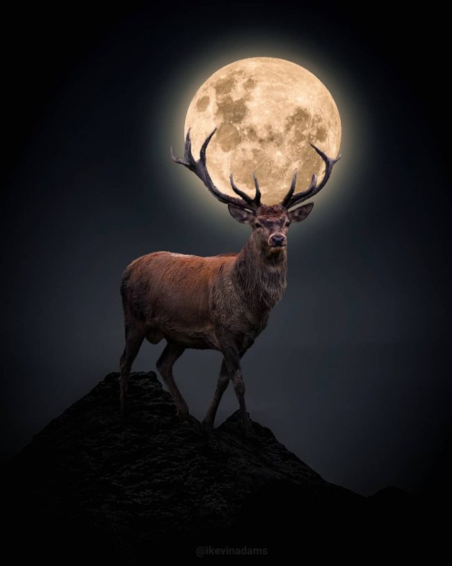 “Forest Of Insomnia”: Dreamlike And Surreal Photo Manipulations By ...