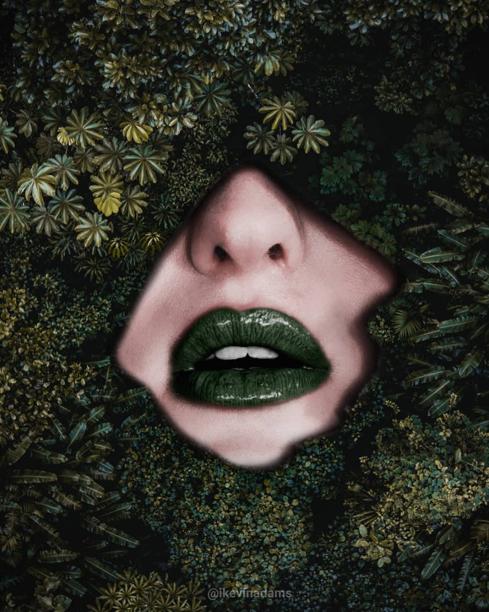 “Forest Of Insomnia”: Dreamlike And Surreal Photo Manipulations By ...