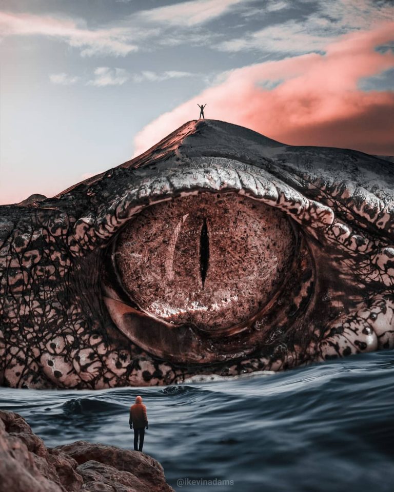 “Forest Of Insomnia”: Dreamlike And Surreal Photo Manipulations By ...