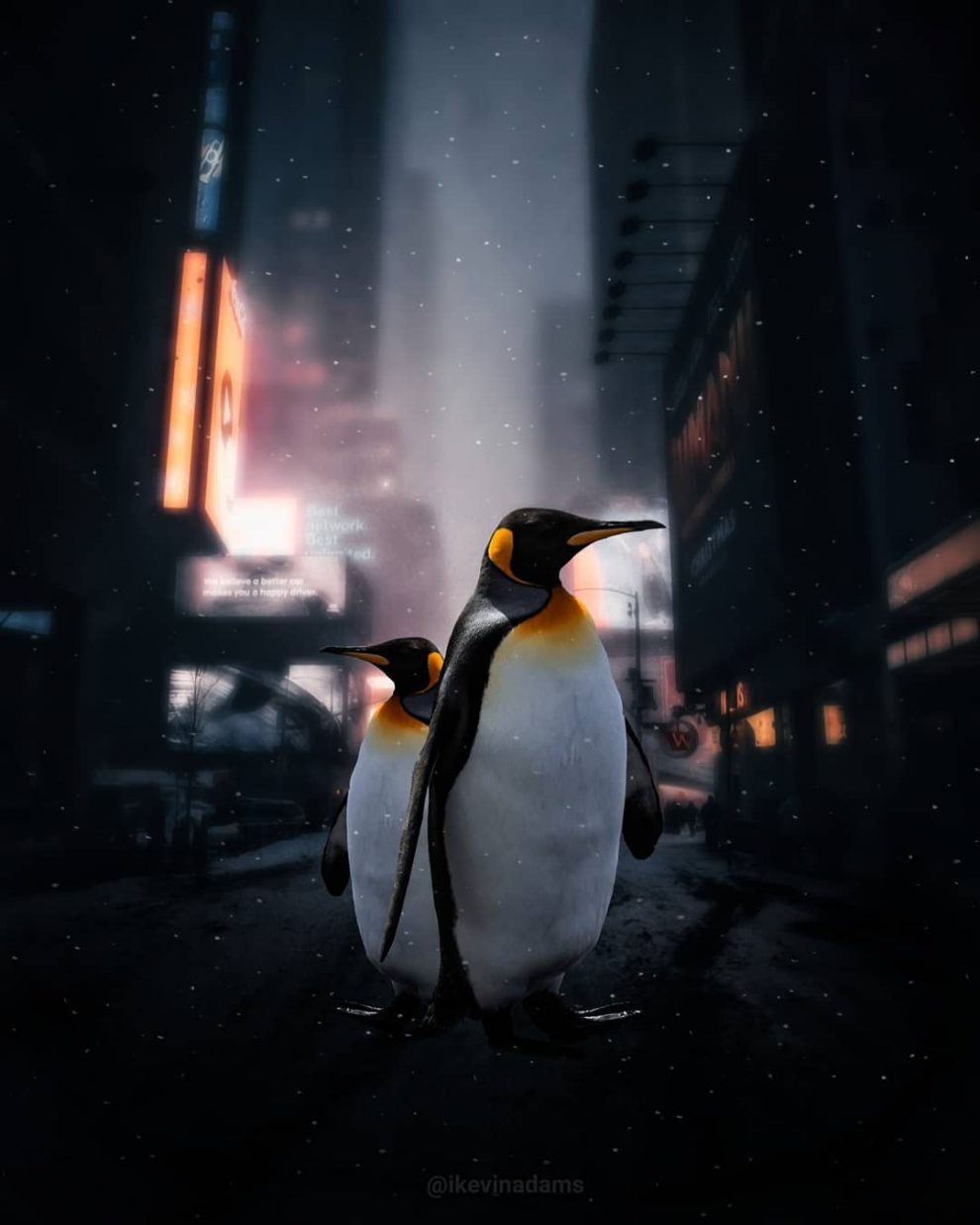 “Forest Of Insomnia”: Dreamlike And Surreal Photo Manipulations By ...