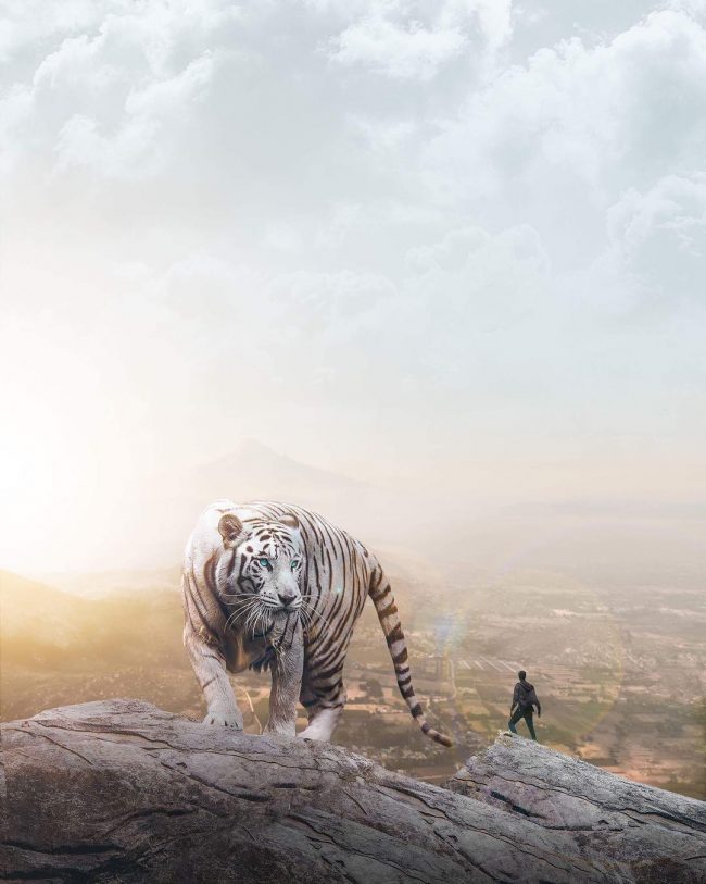 “Forest Of Insomnia”: Surreal And Dreamlike Photo Manipulations Of ...