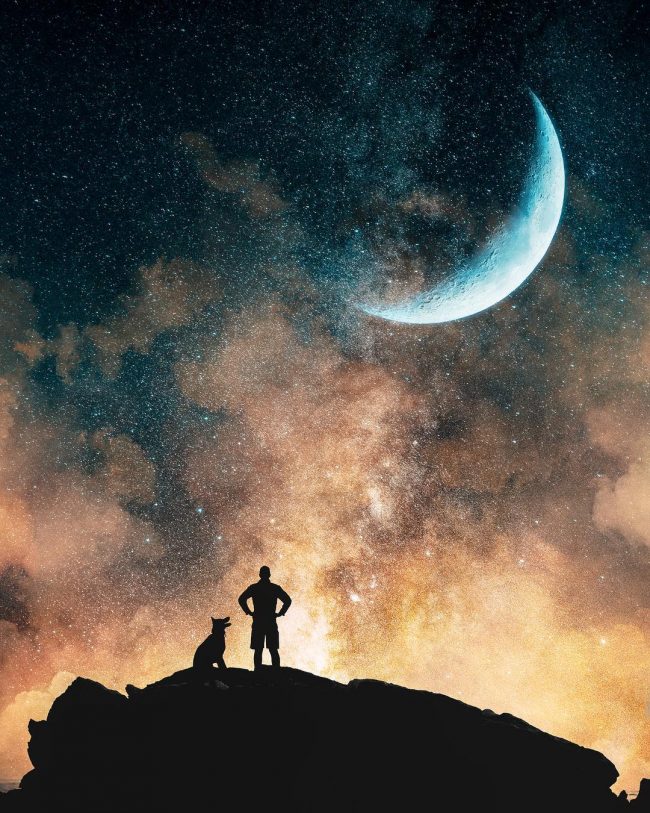 “Forest Of Insomnia”: Surreal And Dreamlike Photo Manipulations Of ...