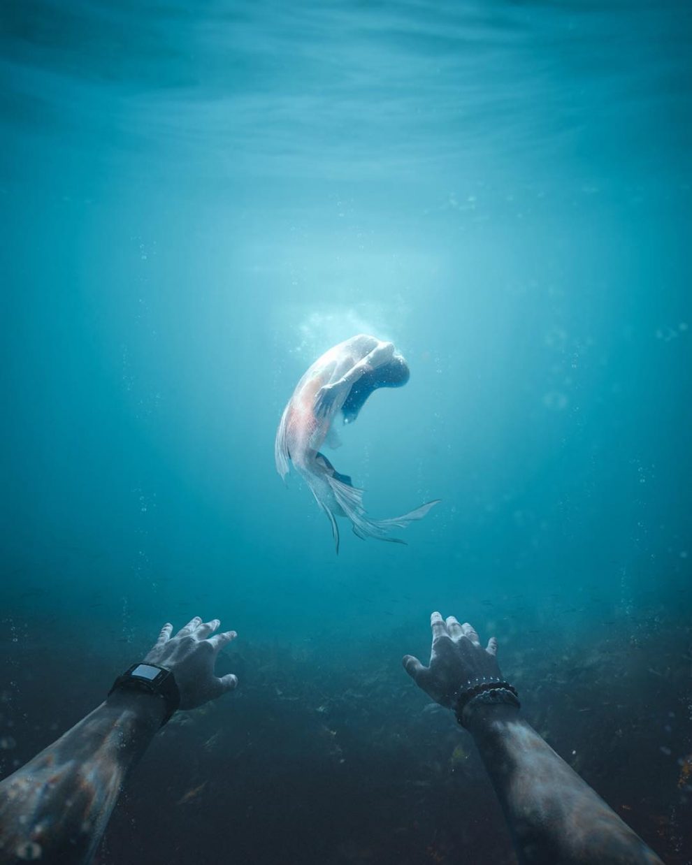 “Forest Of Insomnia”: Surreal And Dreamlike Photo Manipulations Of ...