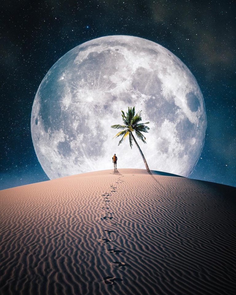 “Forest Of Insomnia”: Surreal And Dreamlike Photo Manipulations Of ...