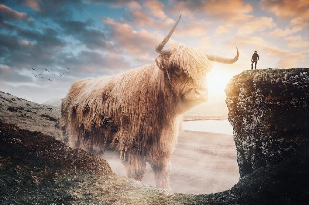 “Forest Of Insomnia”: Surreal And Dreamlike Photo Manipulations Of ...