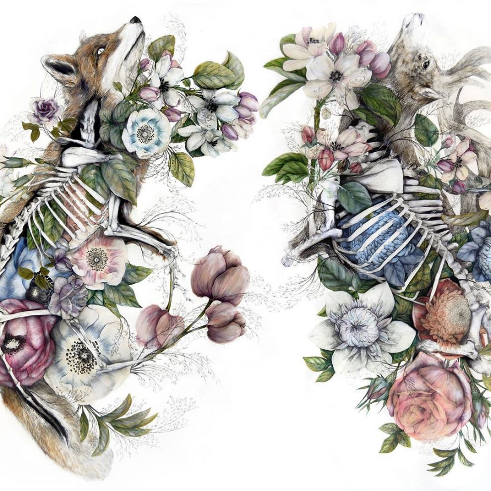 Artist Merges Humans, Flora And Fauna In His Marvelous Anatomical ...