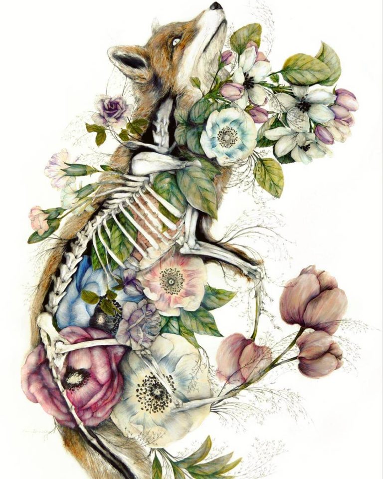 Artist Merges Humans, Flora And Fauna In His Marvelous Anatomical ...