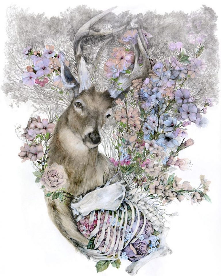 Artist Merges Humans, Flora And Fauna In His Marvelous Anatomical ...