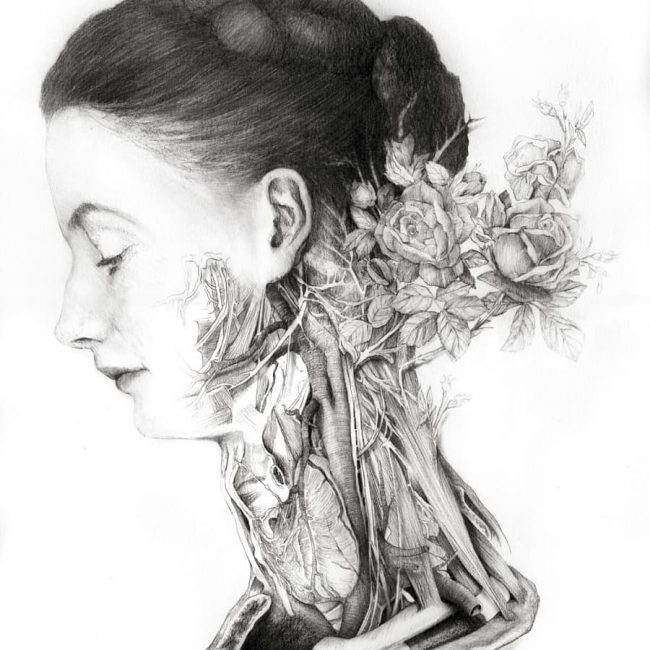 Artist Merges Humans, Flora And Fauna In His Marvelous Anatomical ...