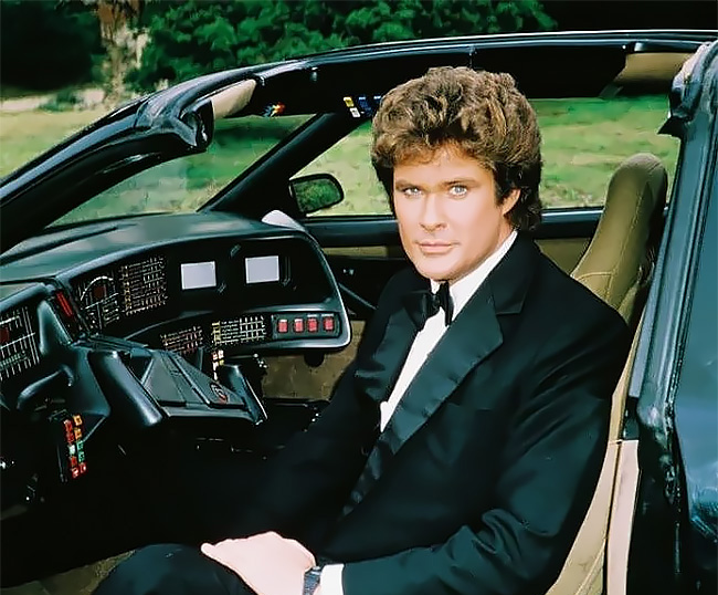 Don’t Hassle The Hoff!: Cheesy Portraits Of David Hasselhoff Like You ...
