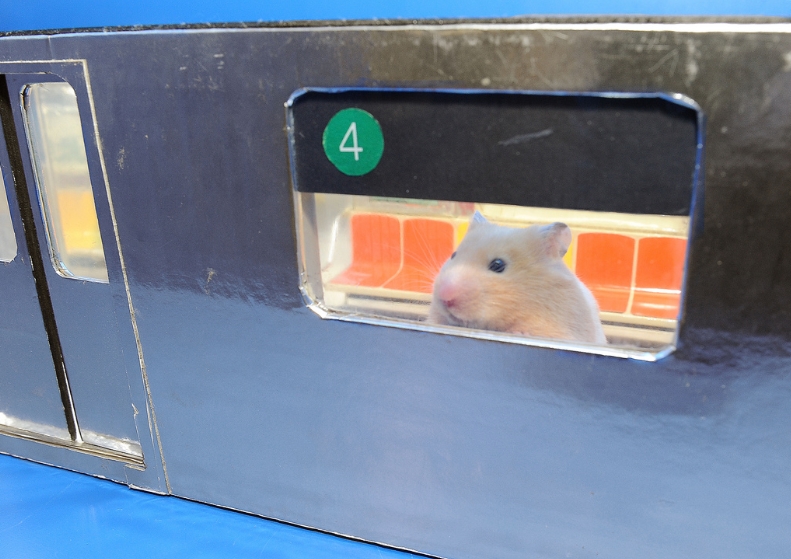This Is A Tiny Hamster Rides Her Own Personal Subway Train » Design You ...