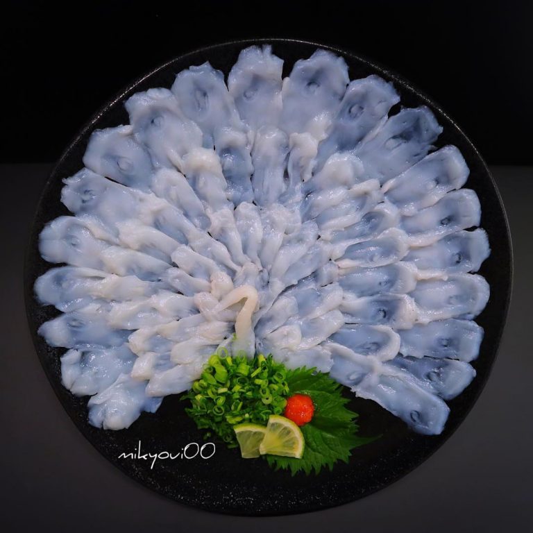Amateur Culinary Artist Creates The Most Amazing Sashimi Plating ...