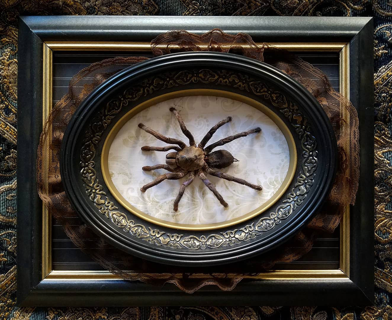 This Artist Creates Baroque And Gothic Wall Mounts Out Of Taxidermied ...