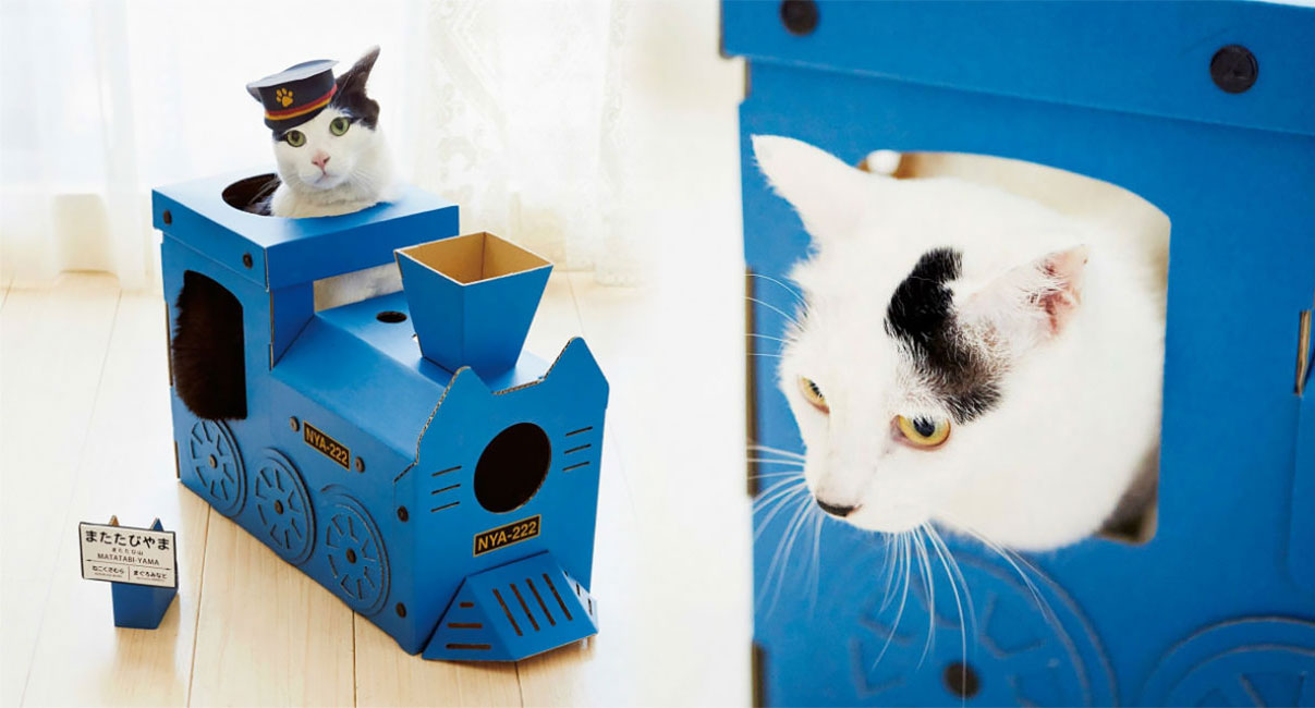 Turn Your Cats Into Furry Train Conductors With Colorful Cardboard ...